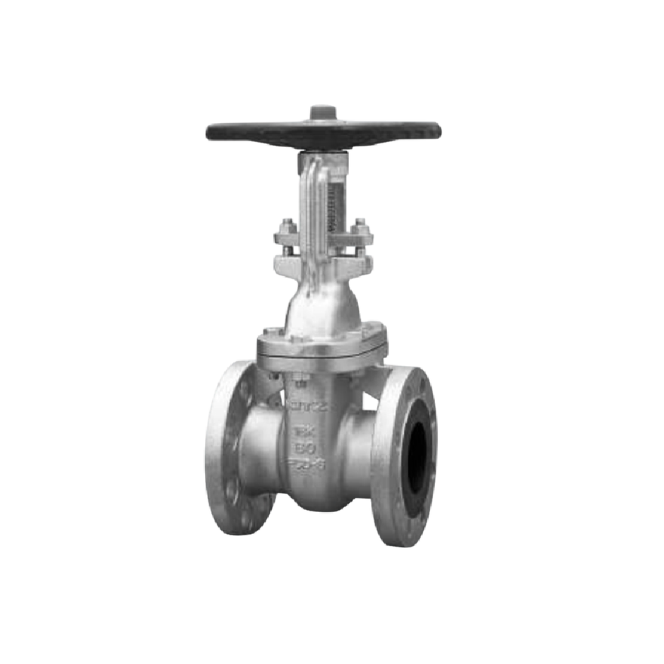 Selling Gate Valve KITZ, cheap price, ready to ship – North Power